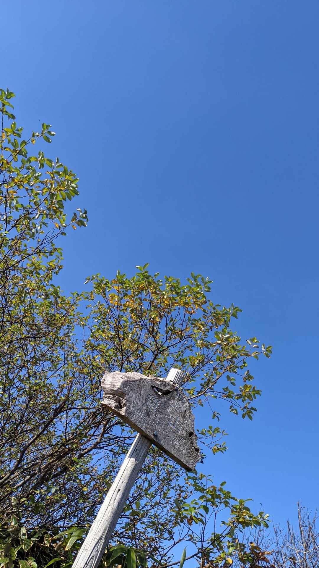 雌山・雄山 / YMDさんの雄山・雌山の活動データ | YAMAP / ヤマップ