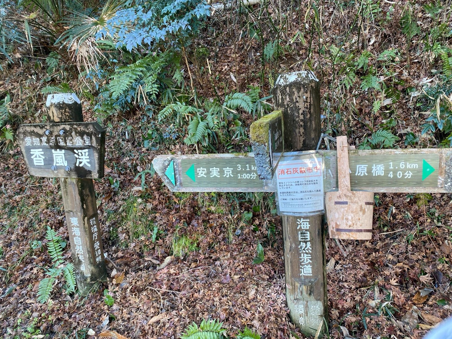 じろうまると行く愛知130 ️ / だっちゃんさんの黍生・飯盛山・真弓山の活動データ | YAMAP / ヤマップ