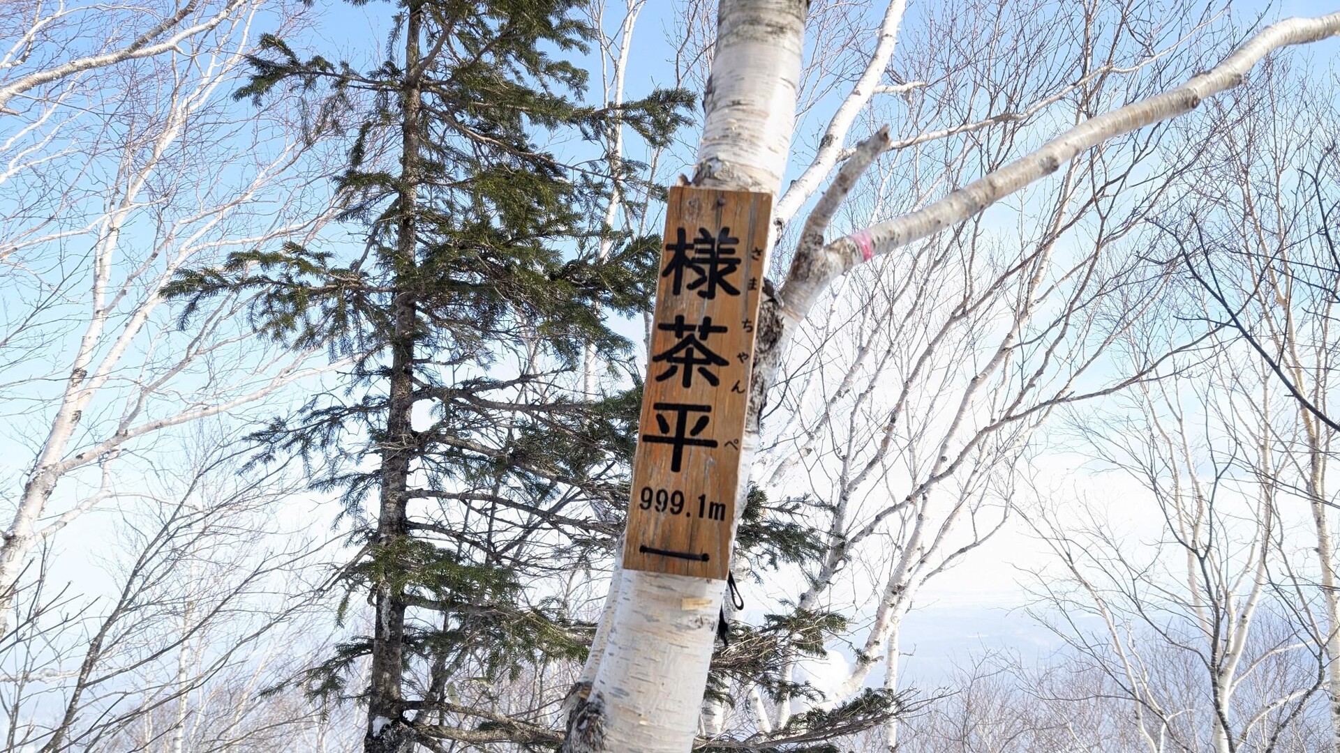 様茶平 / agaさんの様茶平の活動データ | YAMAP / ヤマップ