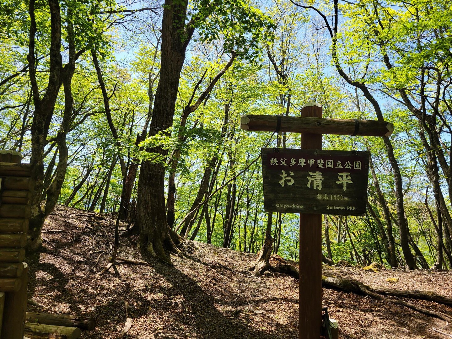 雲取山へ 前編 / あきさんの雲取山・鷹ノ巣山・七ツ石山の活動データ | YAMAP / ヤマップ