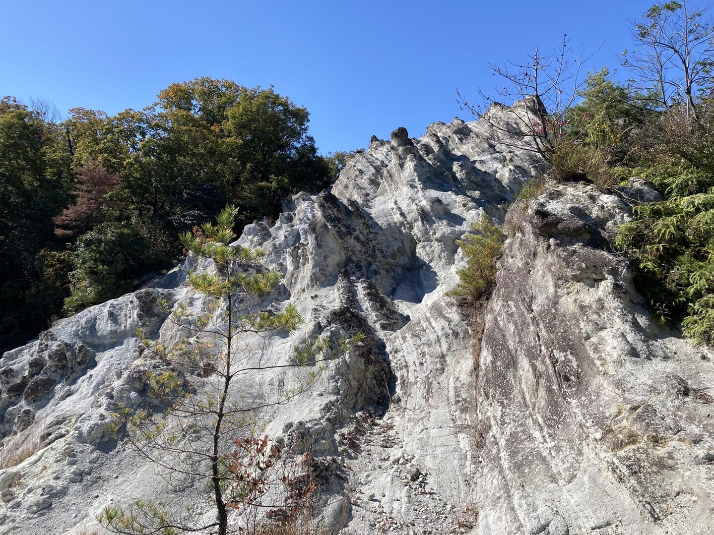 明神山・屯鶴峯 軌跡繋ぎウォーキング / TQさんの明神山・玉手山の活動データ | YAMAP / ヤマップ