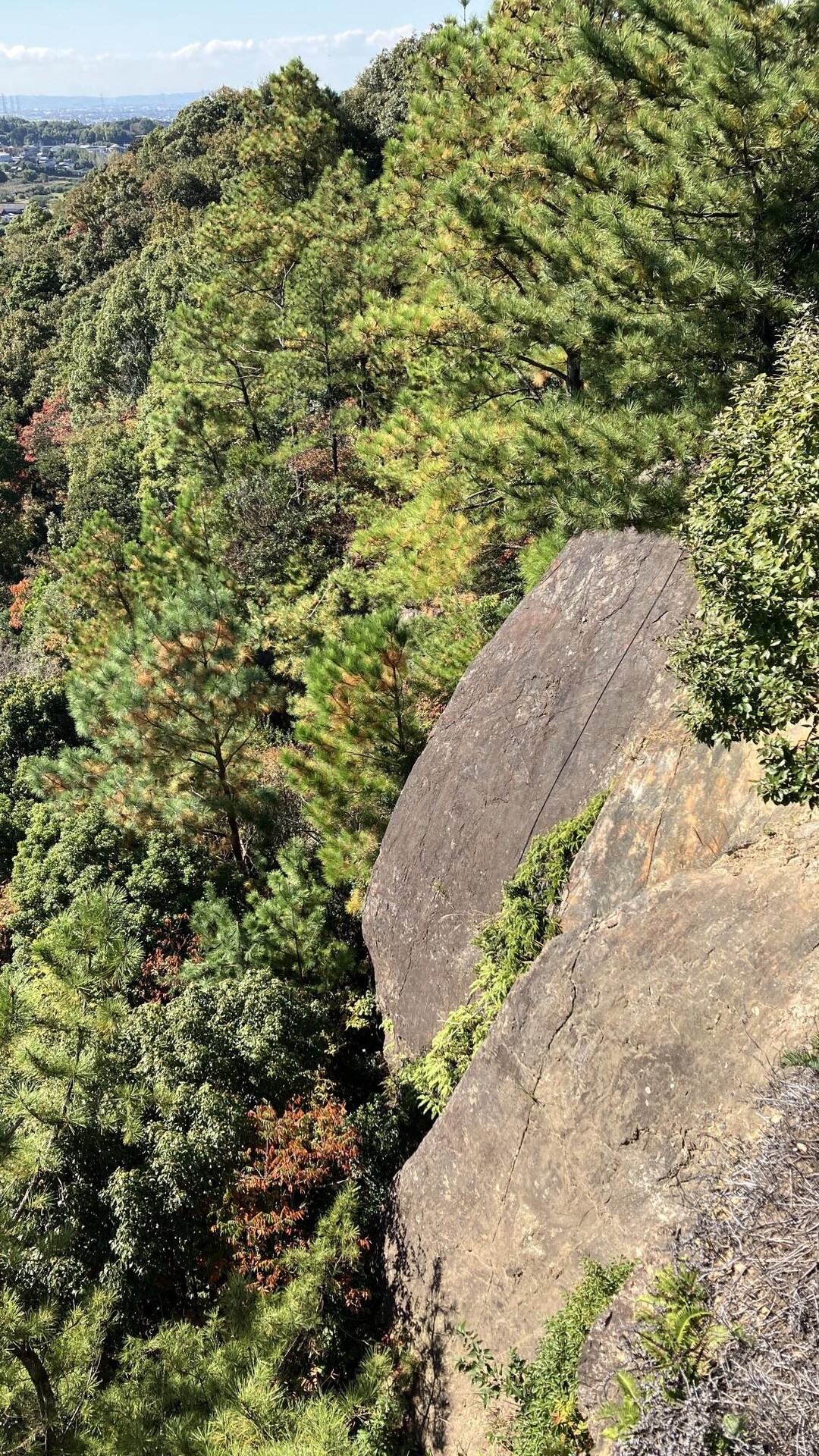 鎖場チャレンジ in 西尾茶臼山近くの岩 / 6DMEさんの茶臼山・万灯山の活動データ | YAMAP / ヤマップ