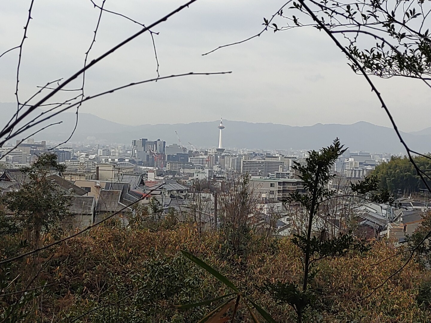 shinさんの投稿したフィールドメモ | YAMAP / ヤマップ