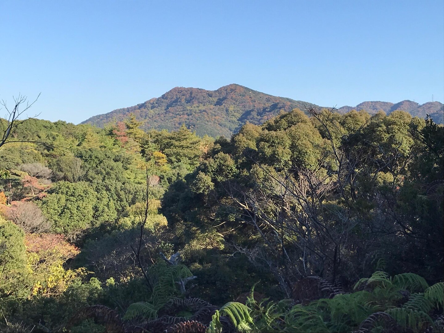 bike & hike飯盛山 / takatingさんの葛城修験エリアマップ（友ヶ島～和泉山脈周辺）の活動データ | YAMAP / ヤマップ