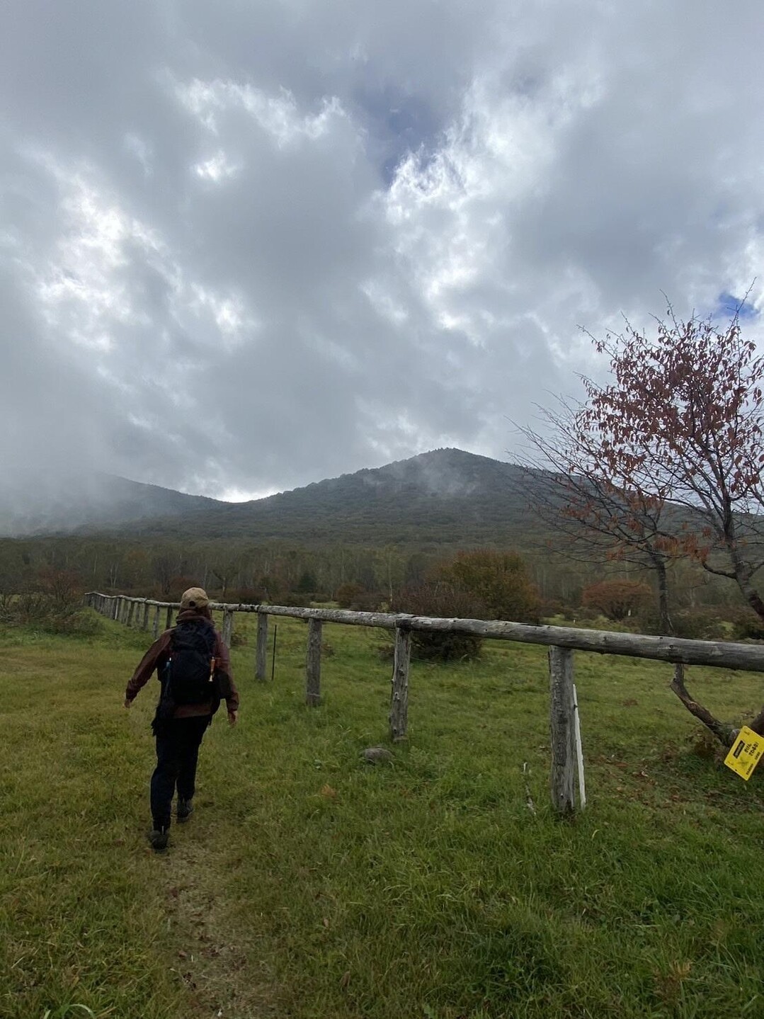 西森山・前森山 / リコさんの岩手山・八幡平・安比高原 50km トレイルの活動データ | YAMAP / ヤマップ