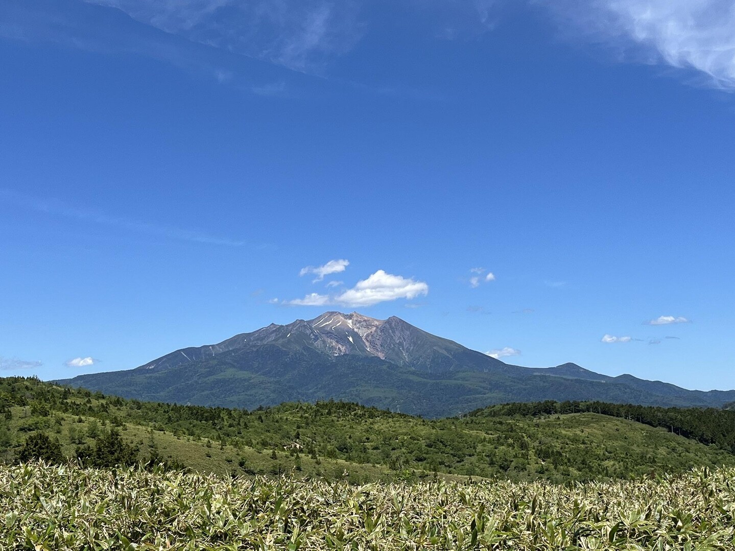19/June/24白草山 / namizoさんの白草山・寺田小屋山の活動日記 | YAMAP / ヤマップ
