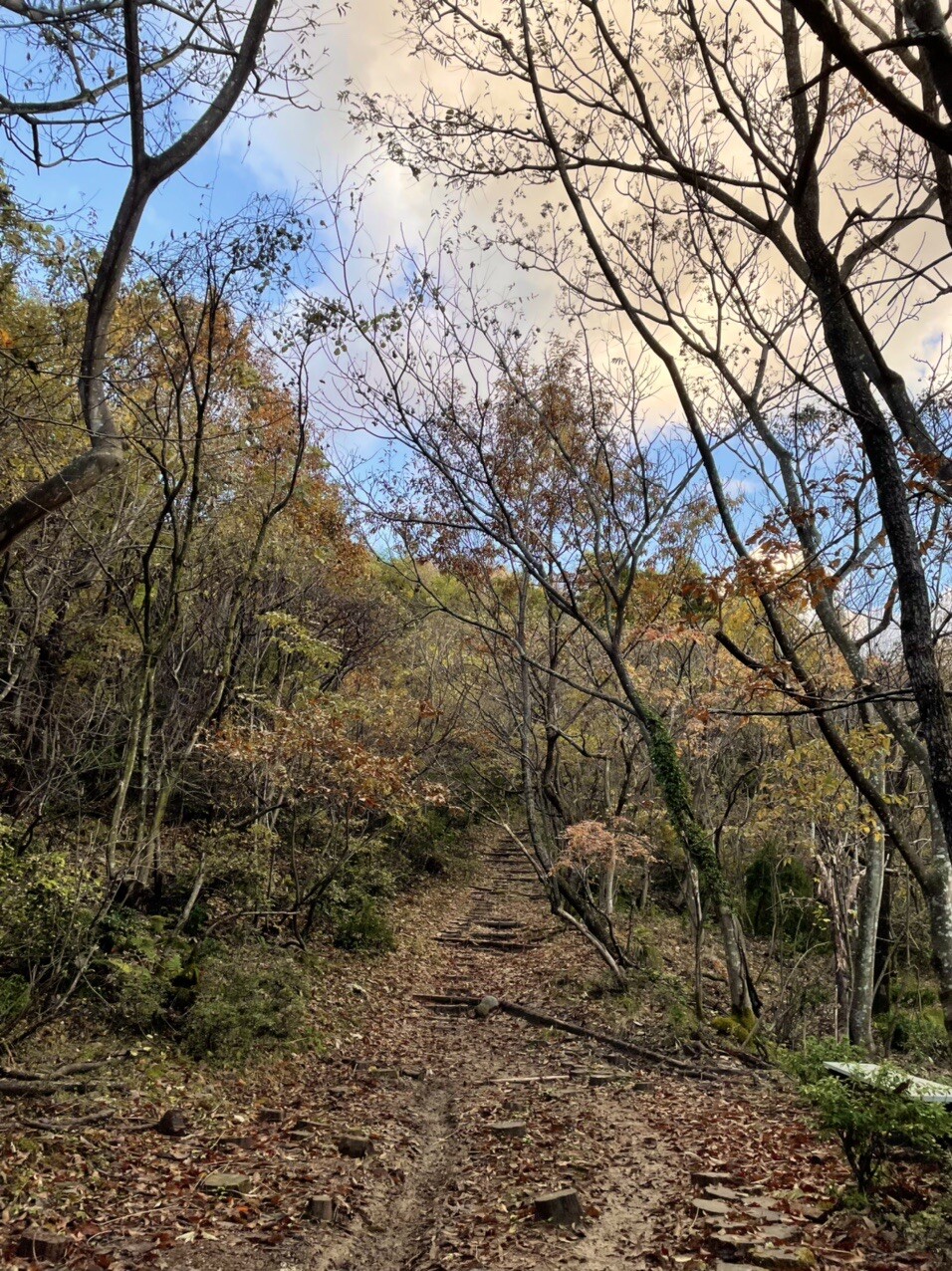 雨のすき間に下市山🌂 / ai nknkさんの下市山の活動データ | YAMAP / ヤマップ