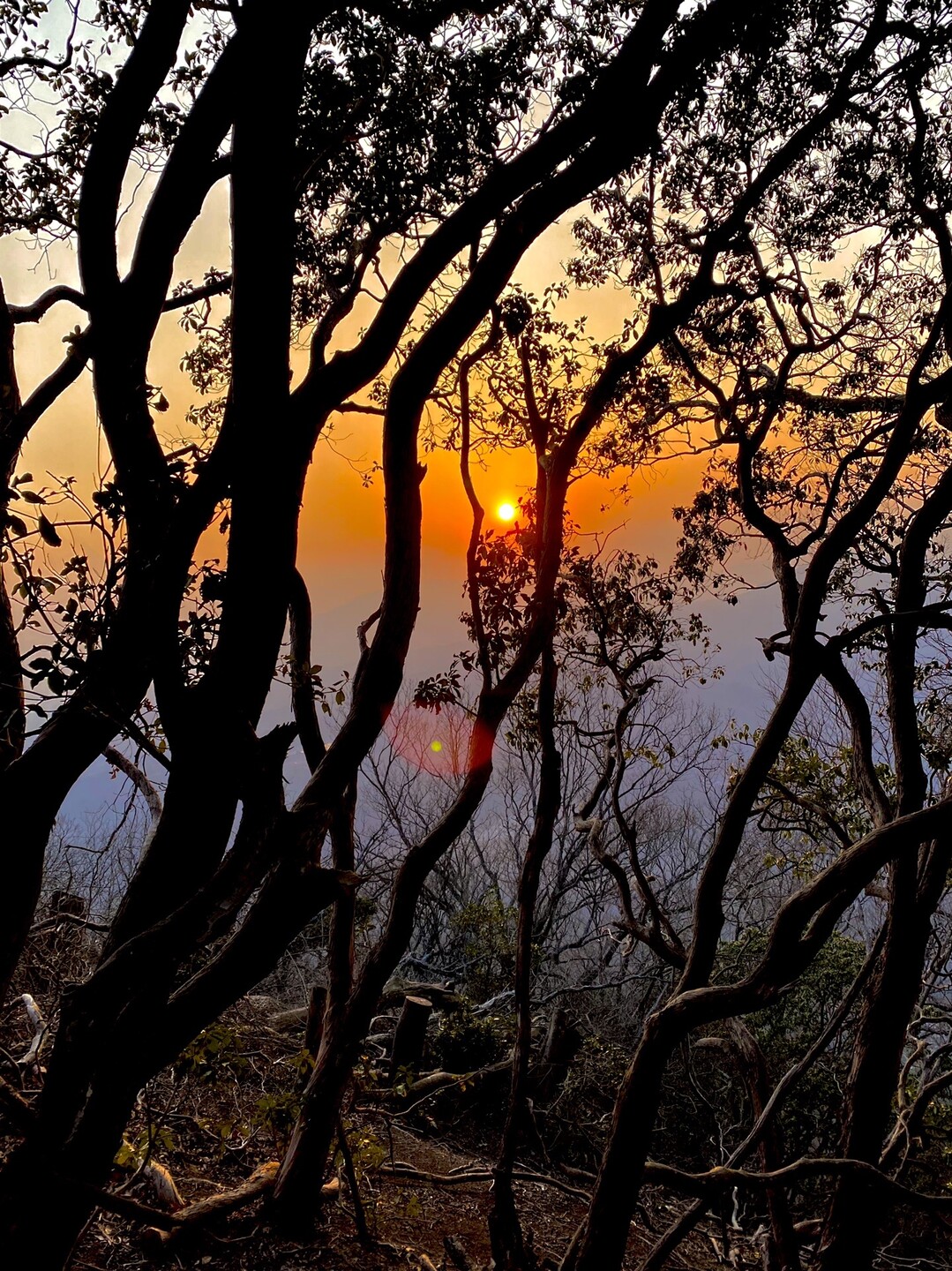 またしても黄砂来襲。黄色霞が強く、夕方... / ケムタク（Kemutaku）さんのモーメント | YAMAP / ヤマップ