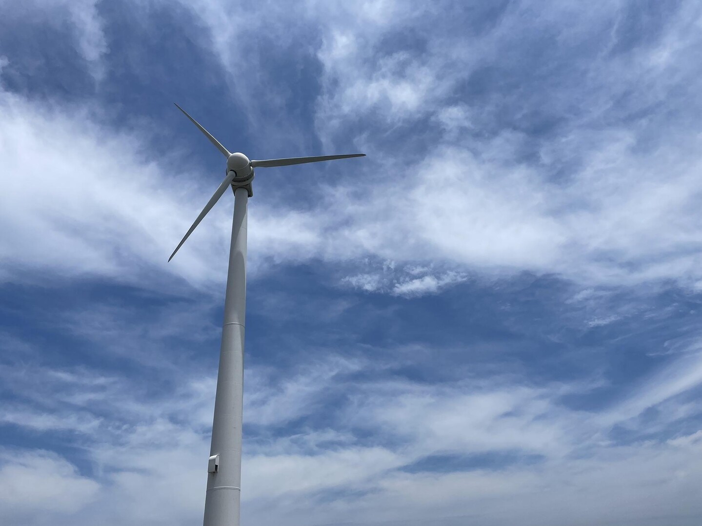 通詞島ウォーキング-2023-06-17 / Chihiroさんのウォーキングの活動データ | YAMAP / ヤマップ