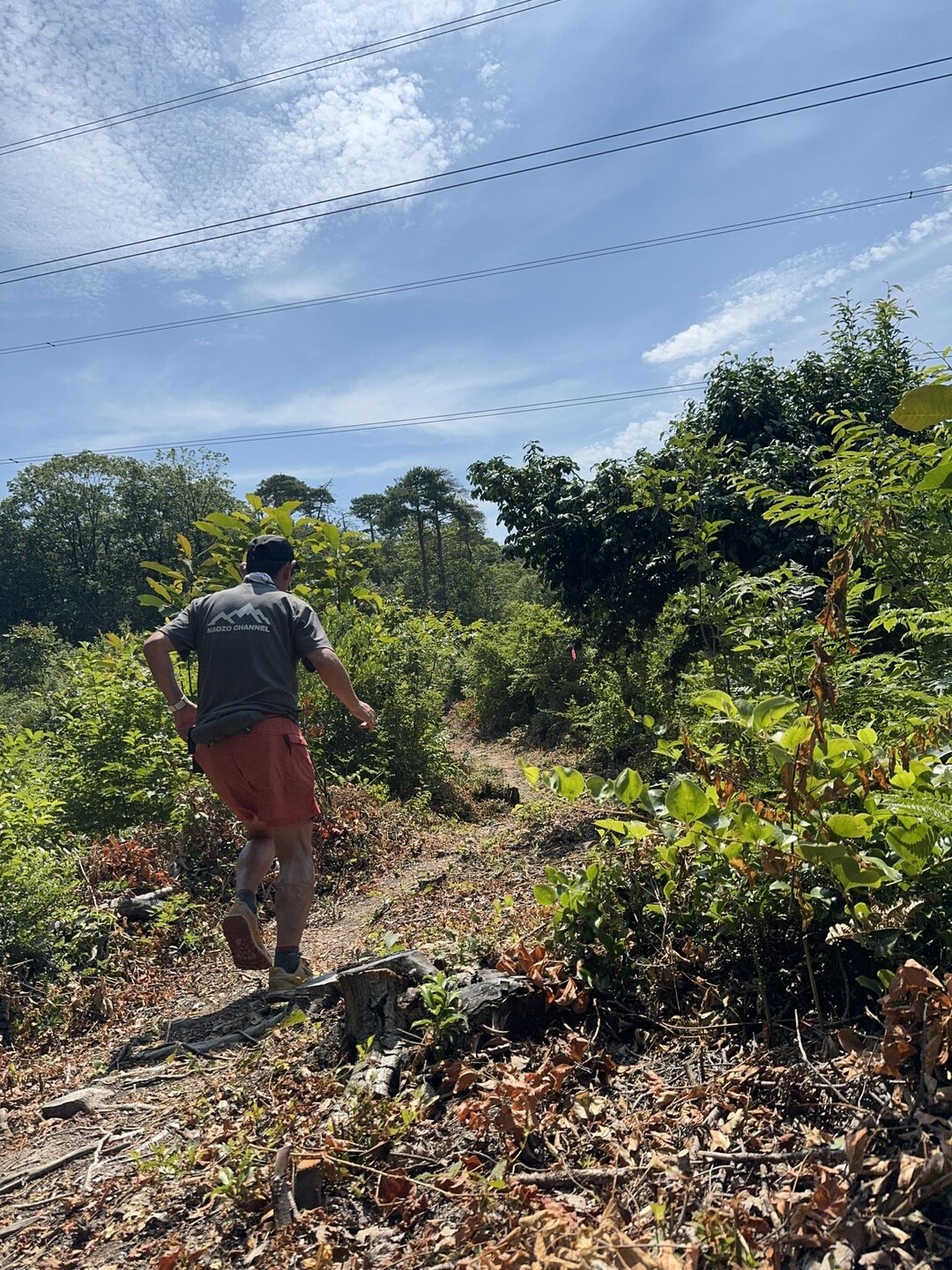 ヤリカンでトレイルに復帰🏔️ / NAOZOさんの遣水観音山・遊泉寺砂山・高野山の活動日記 | YAMAP / ヤマップ