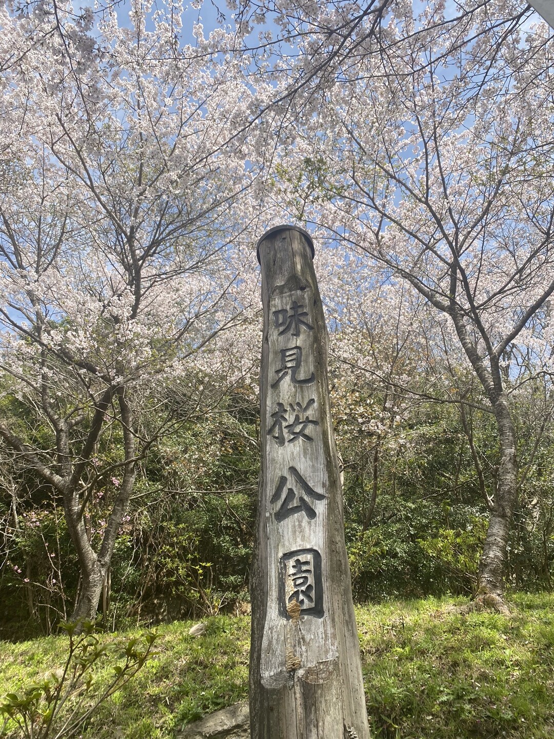 福岡県は春全開です🌸🌷🌼 今週は登... / PK🍑さんのモーメント | YAMAP / ヤマップ
