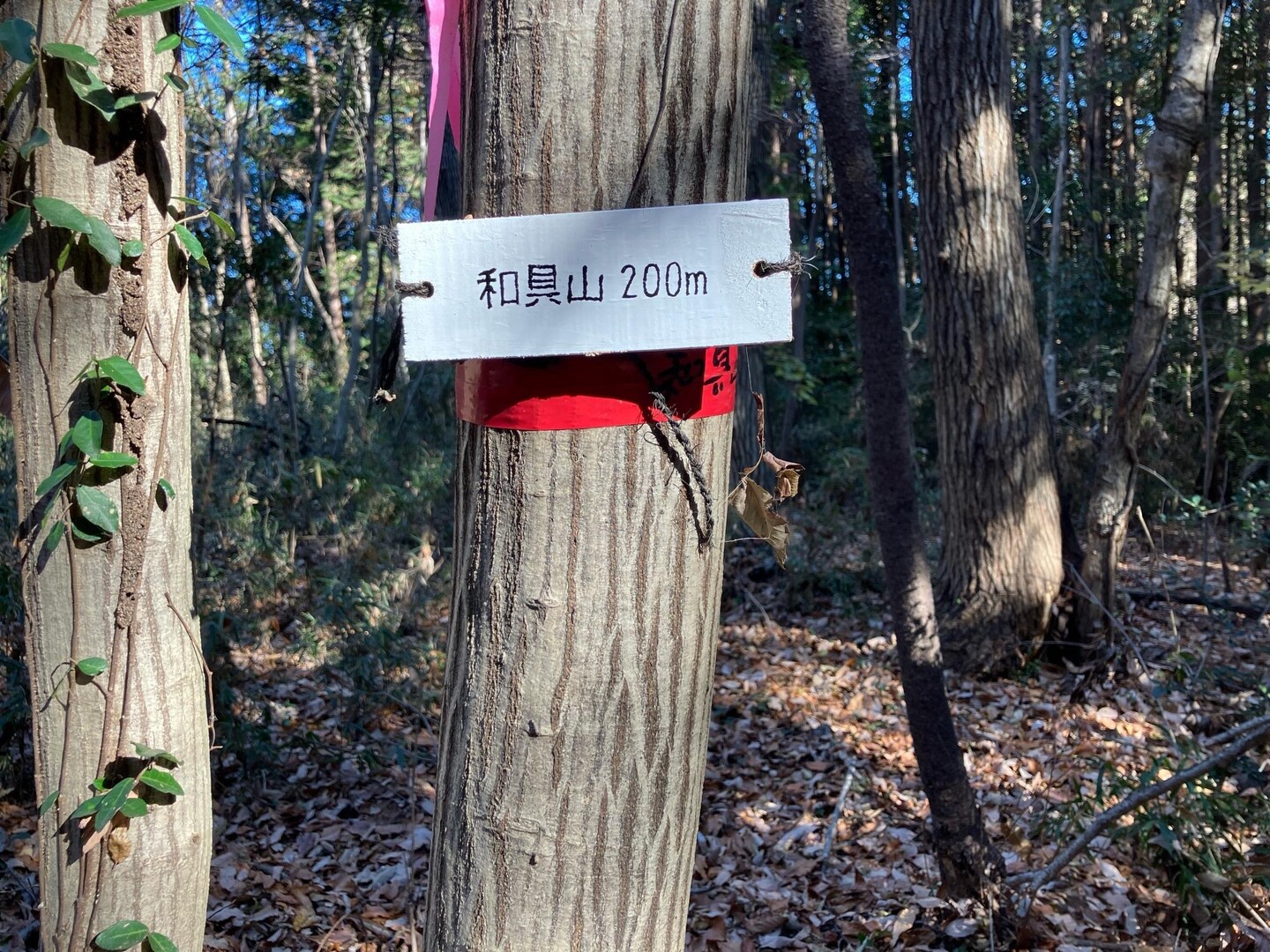 登り初め/低山12座🚶‍♀️🏃‍♂️ / taoさんの武蔵嵐山・大平山・仙元山の活動日記 | YAMAP / ヤマップ