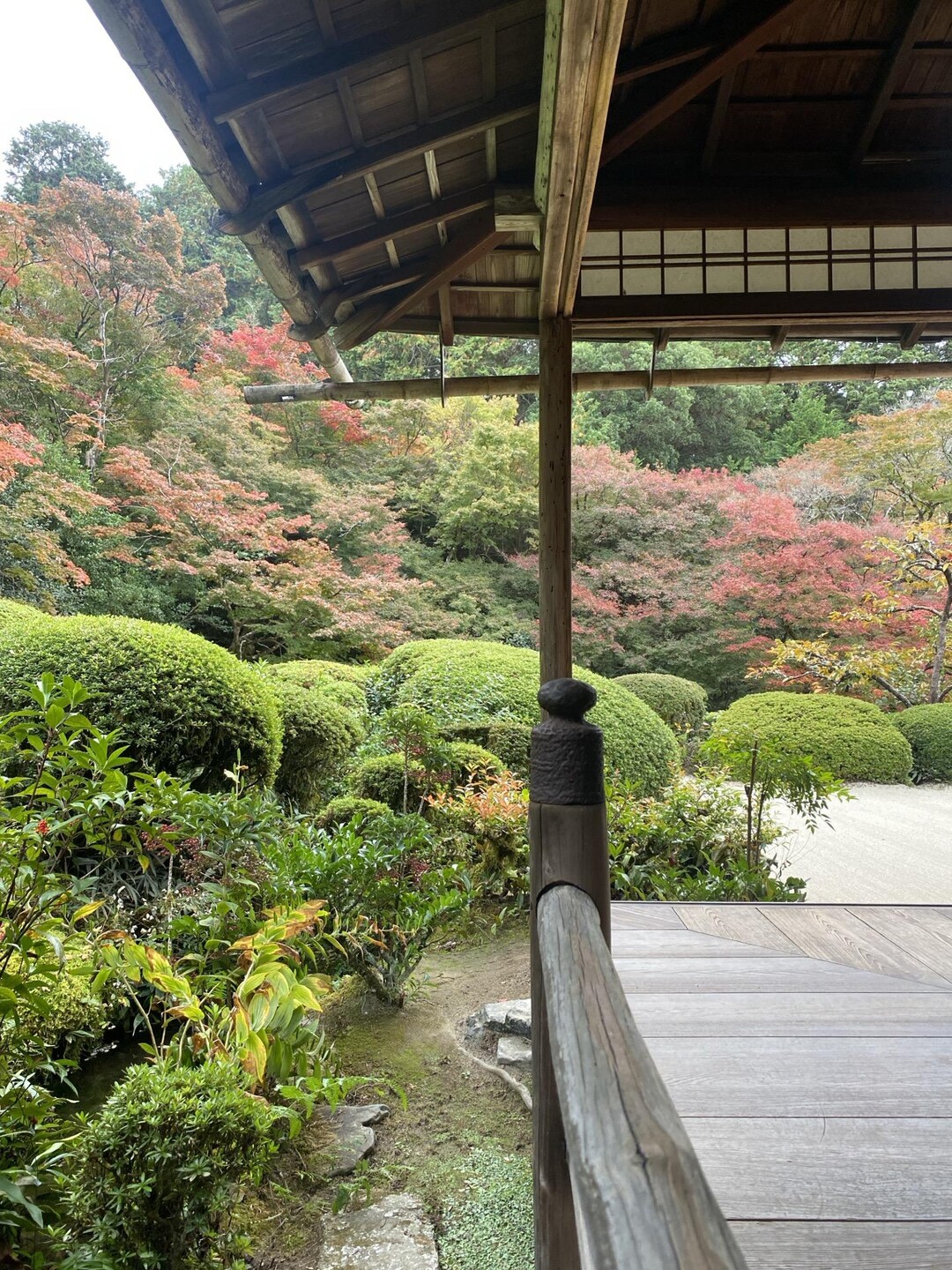 秋を感じに 京都・詩仙堂へ 2024.... / HIRO_mさんのモーメント | YAMAP / ヤマップ