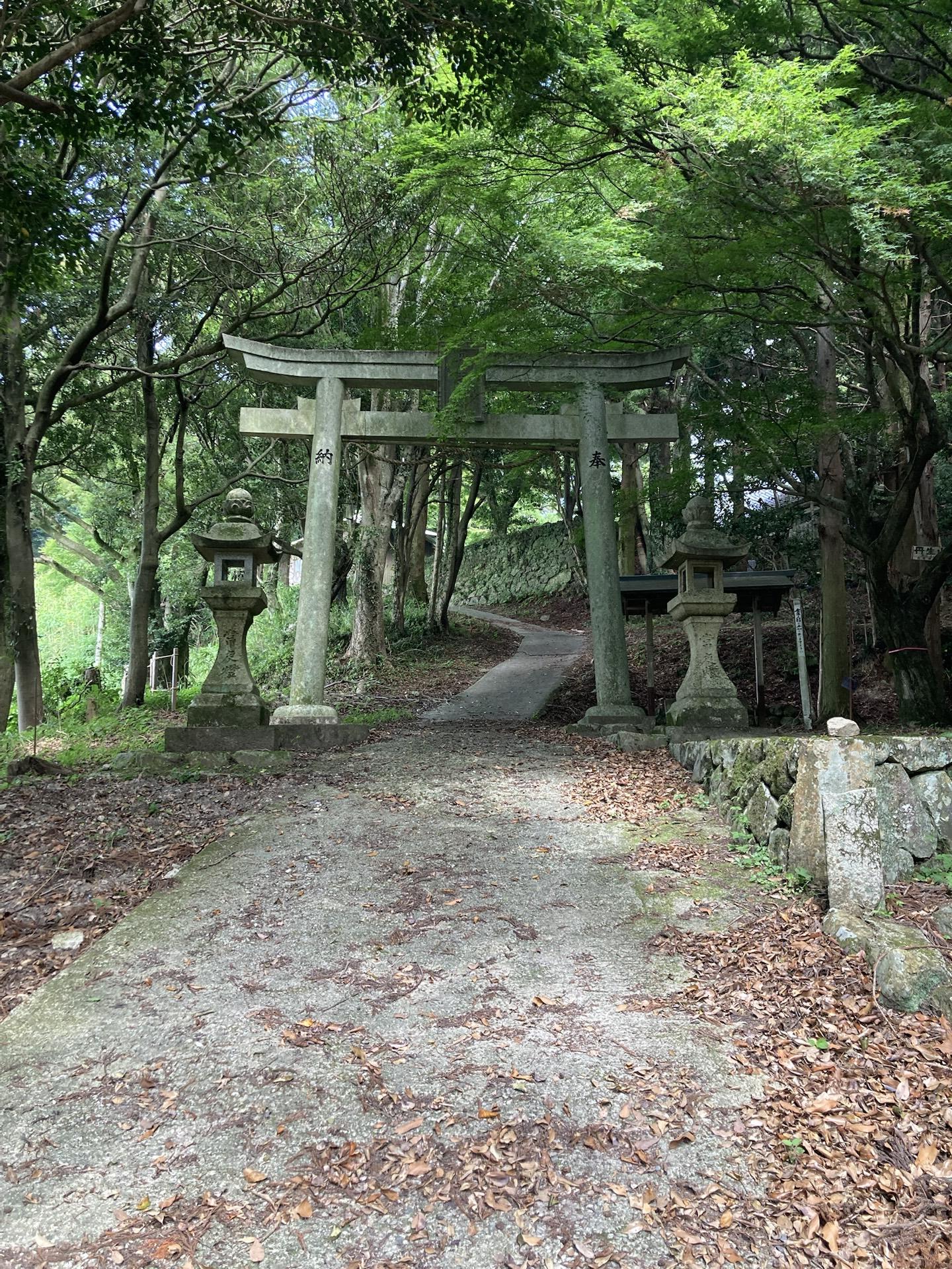 白川郷より猛暑☀️の丹生山系縦走〜西へ / kobe-kdcさんの丹生山・帝釈山・シビレ山の活動データ | YAMAP / ヤマップ