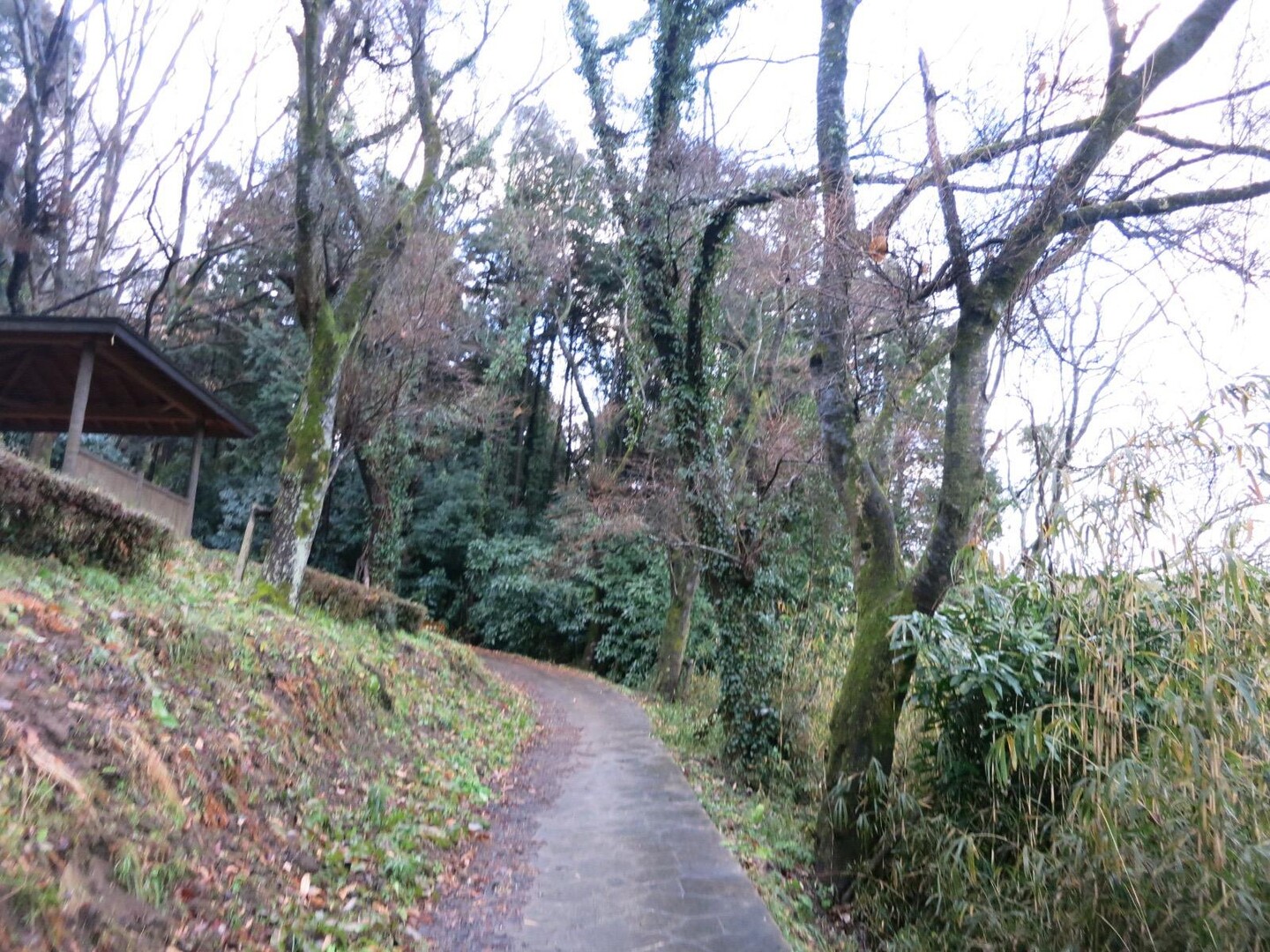 坊主山・筑波山（男体山）・椎尾山 / FujiHiroさんの筑波山の活動データ | YAMAP / ヤマップ