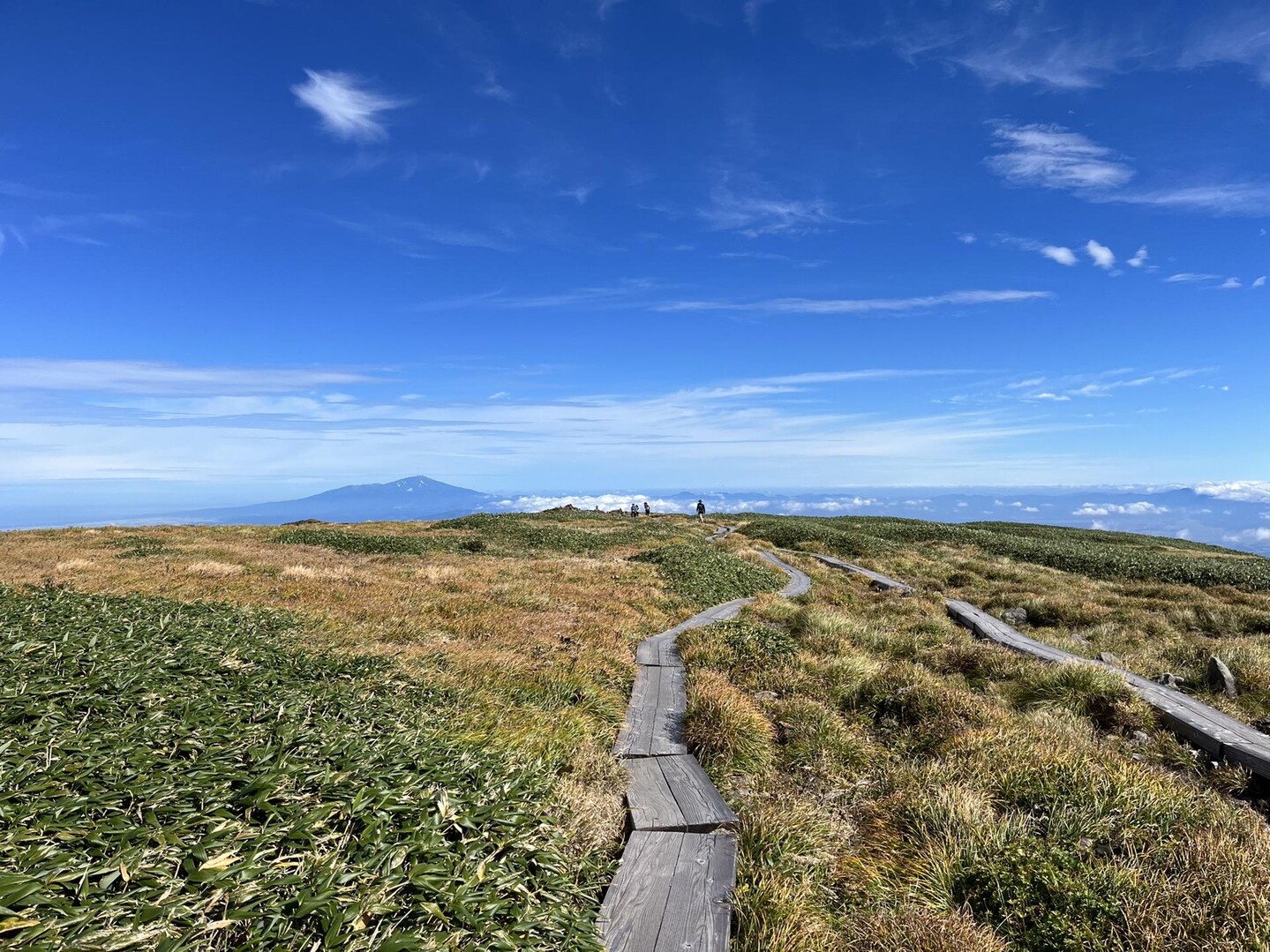 月山~ヨイショしますやん~ / shunさんの月山の活動データ | YAMAP / ヤマップ