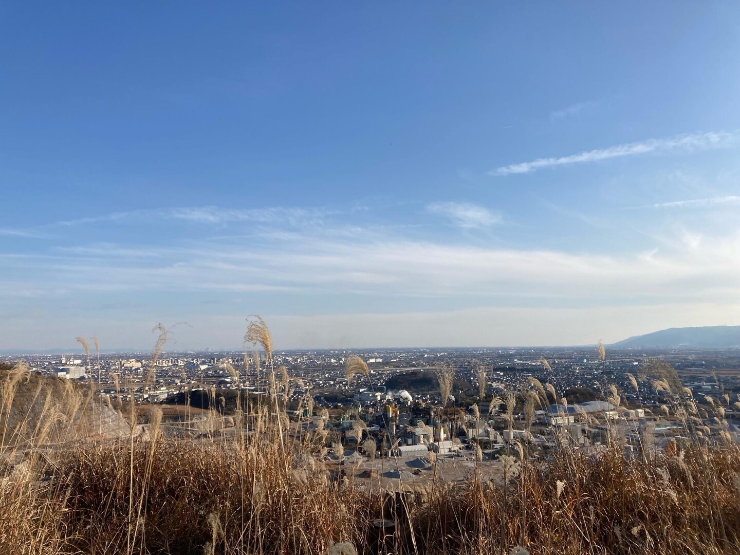 青墓トレイル-2025-01-05 / *KOUさんの池田山の活動データ | YAMAP / ヤマップ