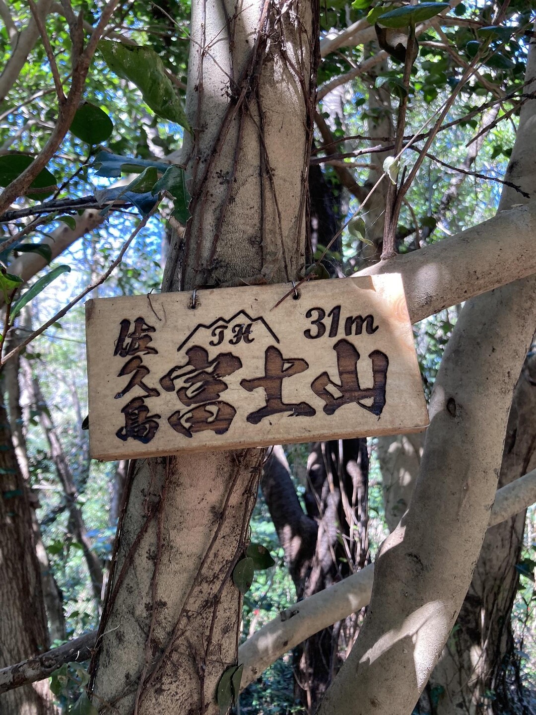 富士山 佐久島 -2023-03-19 / ym-mamaさんの佐久島の活動データ | YAMAP / ヤマップ