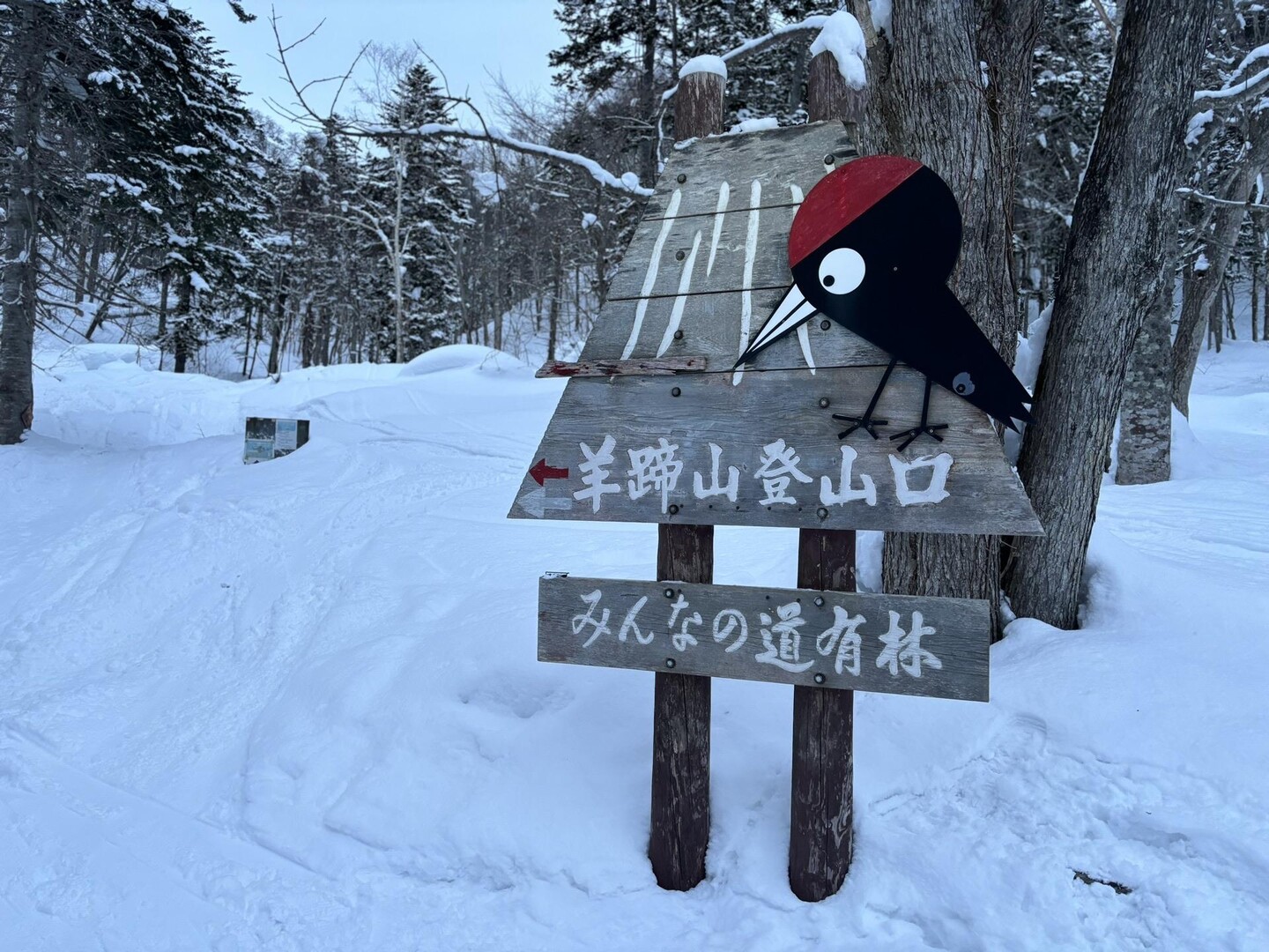 羊蹄山BC♪😆今季初始動♪😆 / aki_さんの羊蹄山（蝦夷富士）の活動データ | YAMAP / ヤマップ