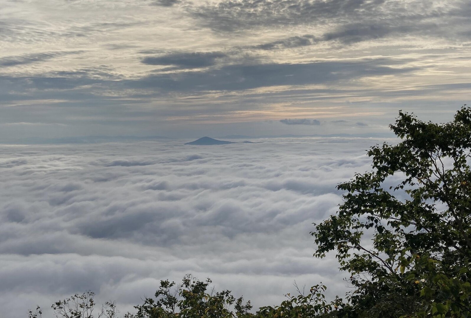 岩手山 / のりじいさんの岩手山・八幡平・安比高原 50km トレイルの活動データ | YAMAP / ヤマップ