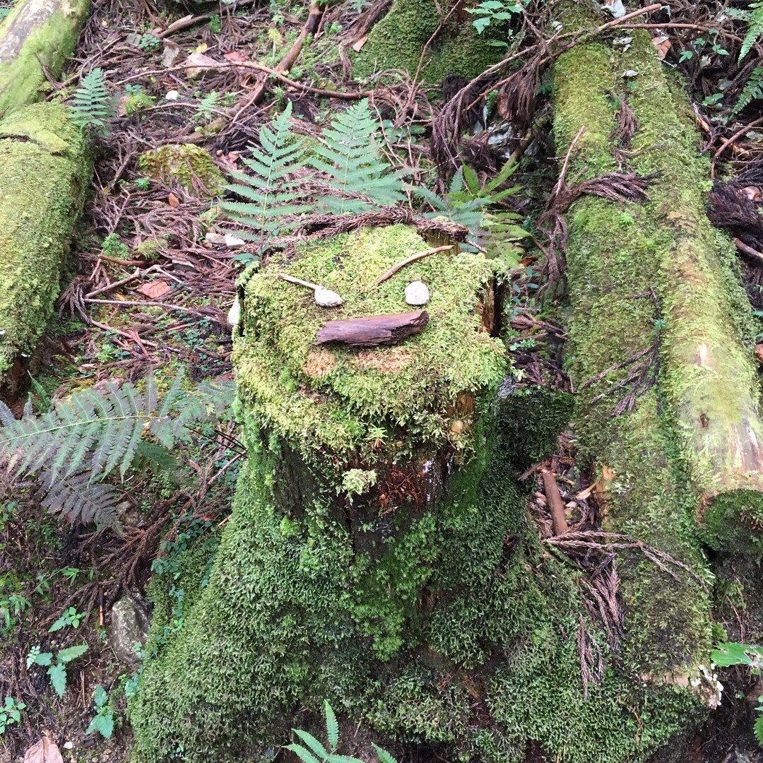 yoshiのページ | YAMAP / ヤマップ