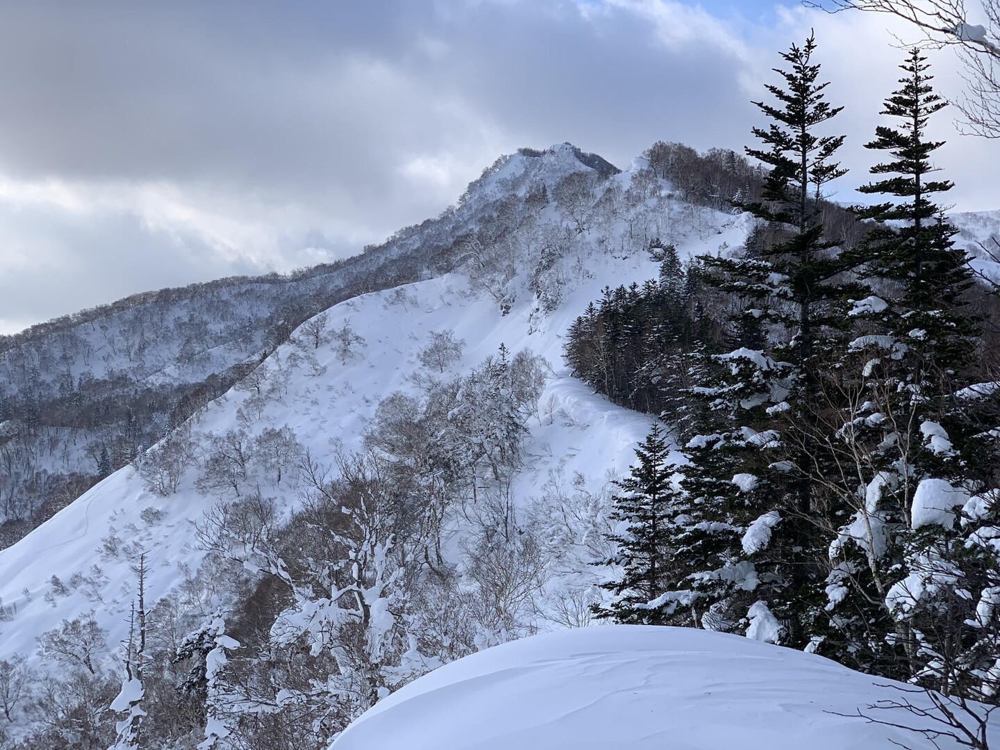 #8 寝坊につきタケノコ山②BC / bono.さんの余市岳・定山渓天狗岳の活動データ | YAMAP / ヤマップ