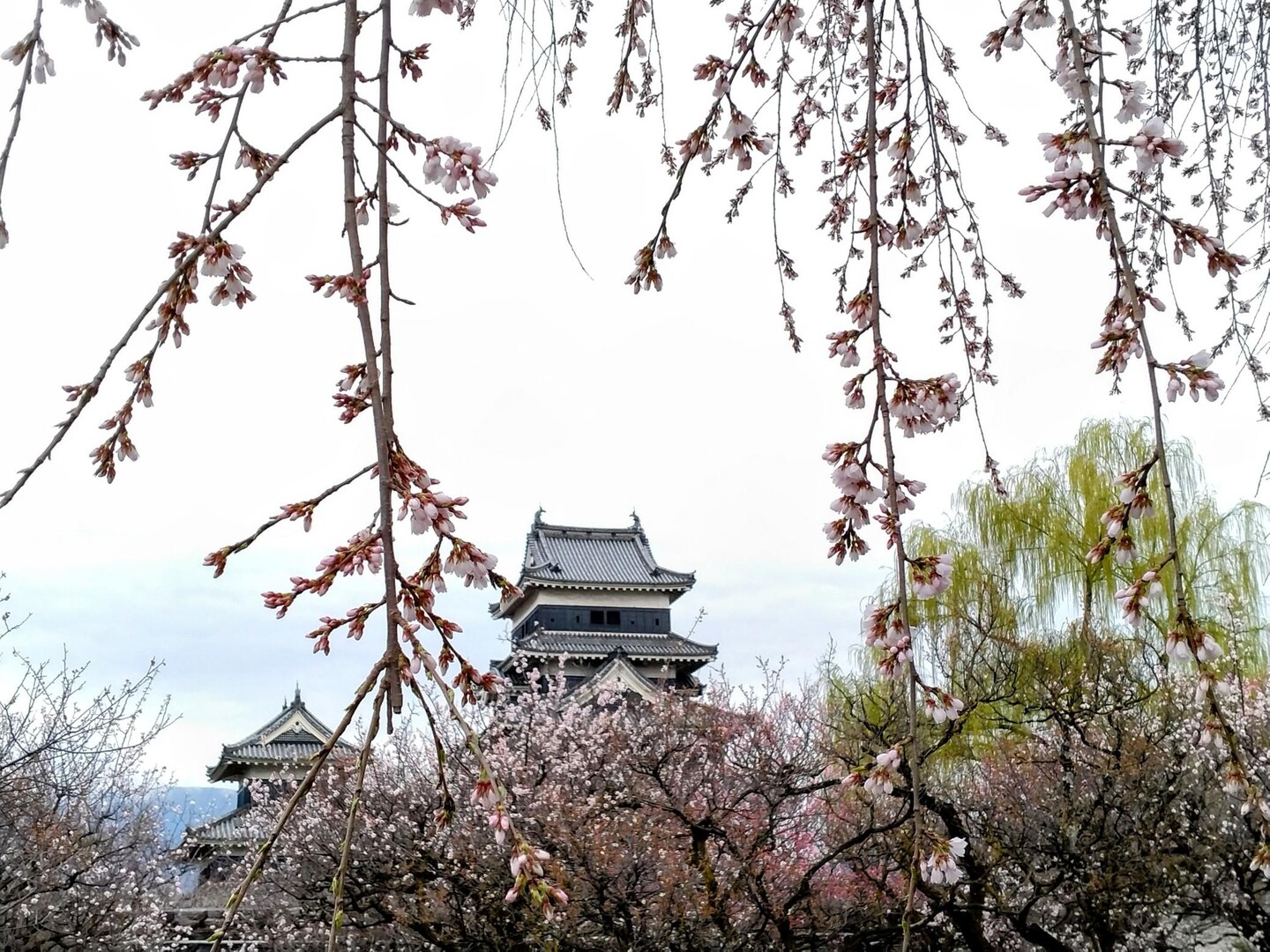 晴れれば見えただろうたくさんの百名山😆... / きょんさんのモーメント | YAMAP / ヤマップ
