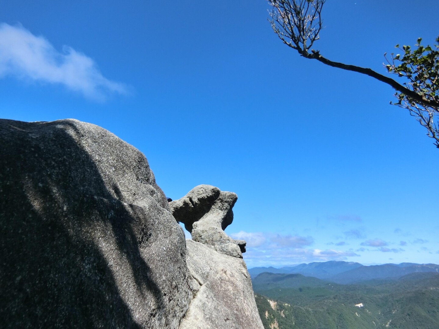 御在所岳・国見岳・青岳・ハライド / ma・goさんの御在所岳（御在所山）・雨乞岳の活動データ | YAMAP / ヤマップ