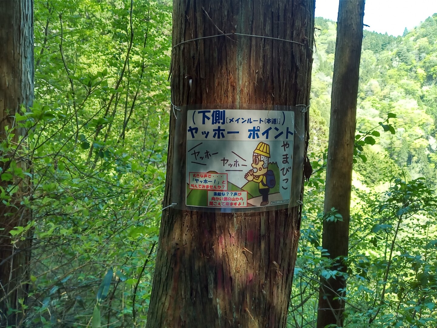 ねこあさんの投稿したフィールドメモ | YAMAP / ヤマップ