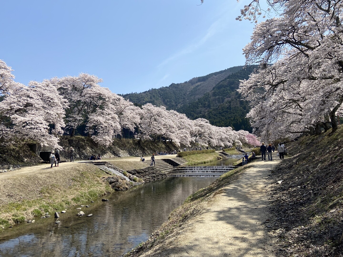 鮎河から信楽🌸 / ko-1さんのモーメント | YAMAP / ヤマップ