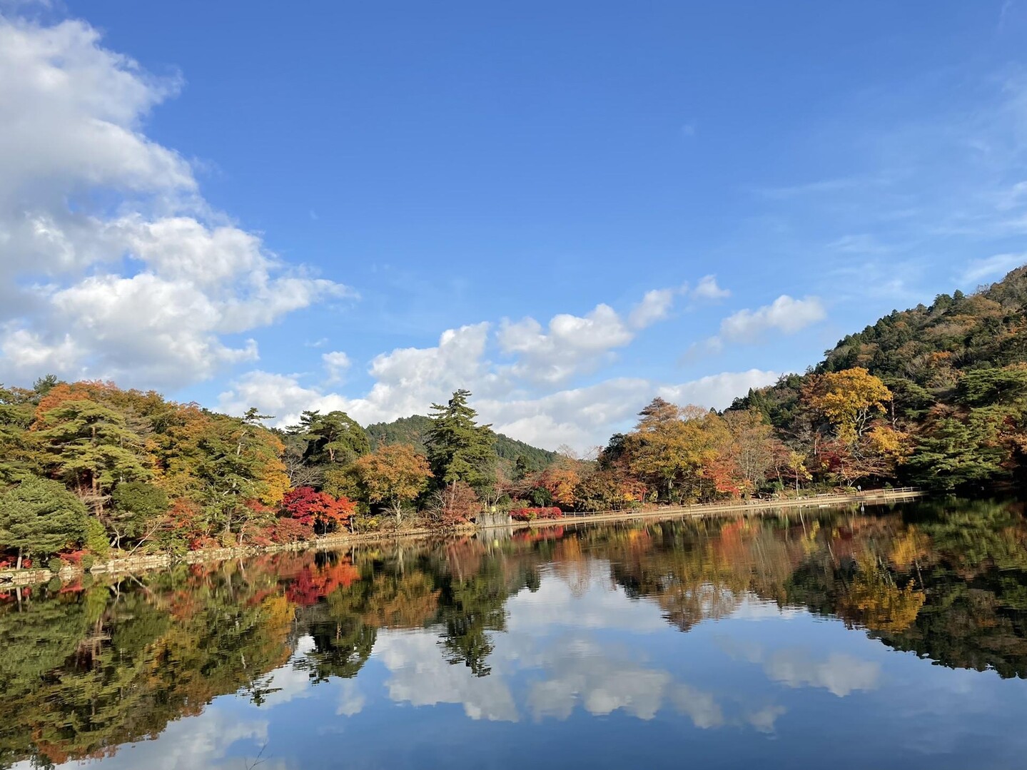 高速神戸↗️菊水山・鍋蓋山・再度公園↘️高速神戸 / Rinさんの六甲山・長峰山・摩耶山の活動データ | YAMAP / ヤマップ