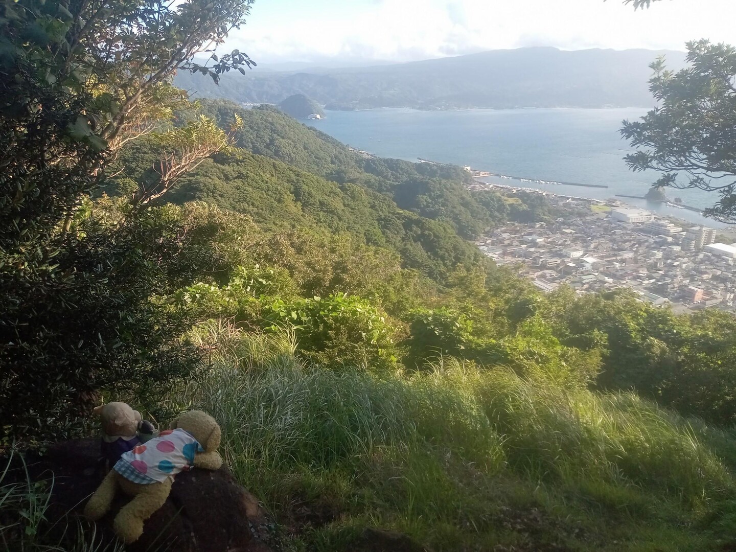 🐶・🐵・🐷と行く！沼津アルプス / monkichi_1さんの沼津アルプス・鷲頭山・香貫山の活動データ | YAMAP / ヤマップ