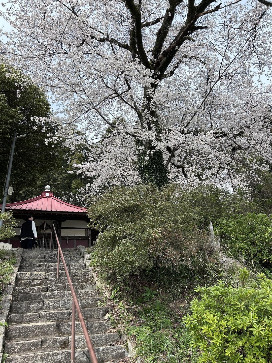 越生駅周辺 / MC HIROさんの大高取山の活動データ | YAMAP / ヤマップ