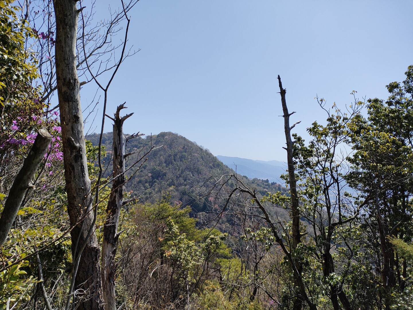 jiyoさんの投稿したフィールドメモ | YAMAP / ヤマップ