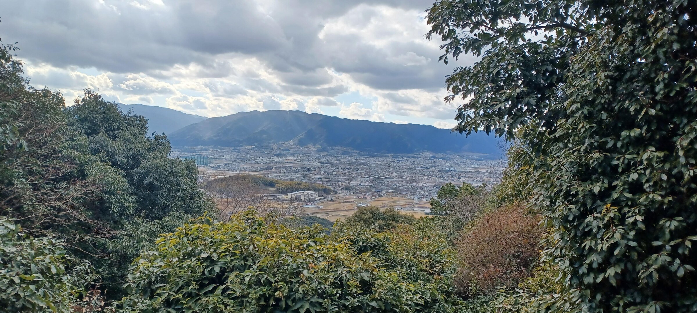 山トレ〜畝傍山〜 / ポンスケ🔰さんの大和三山（天香久山・畝傍山・耳成山）の活動データ | YAMAP / ヤマップ
