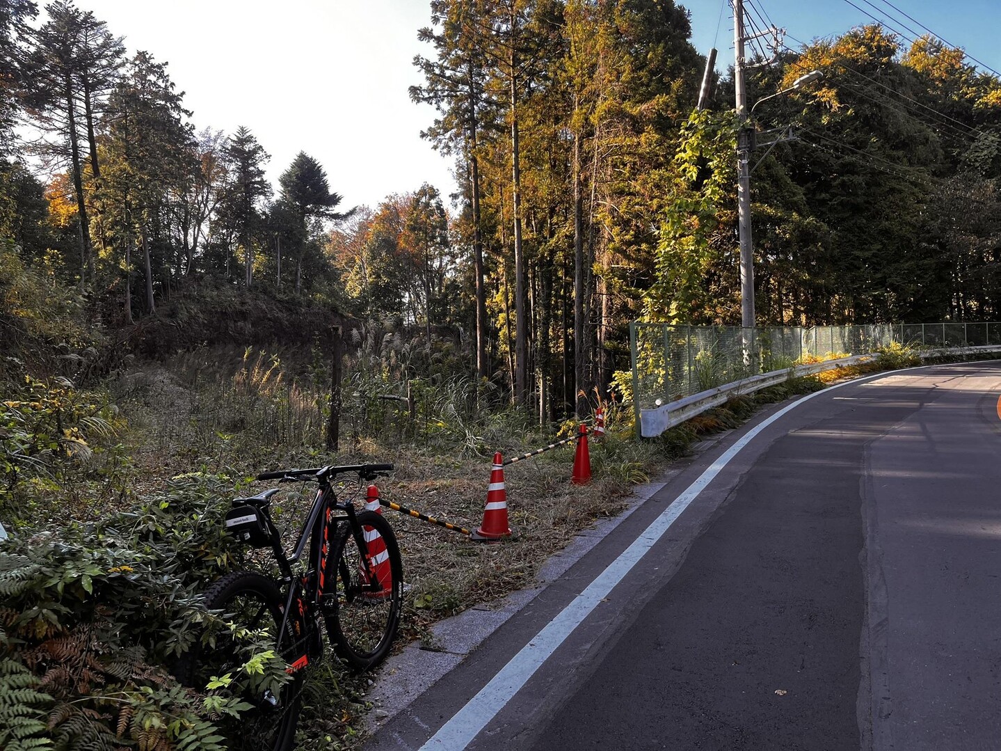 MTBで山に入る / kpk_cooさんのランニングの活動データ | YAMAP / ヤマップ