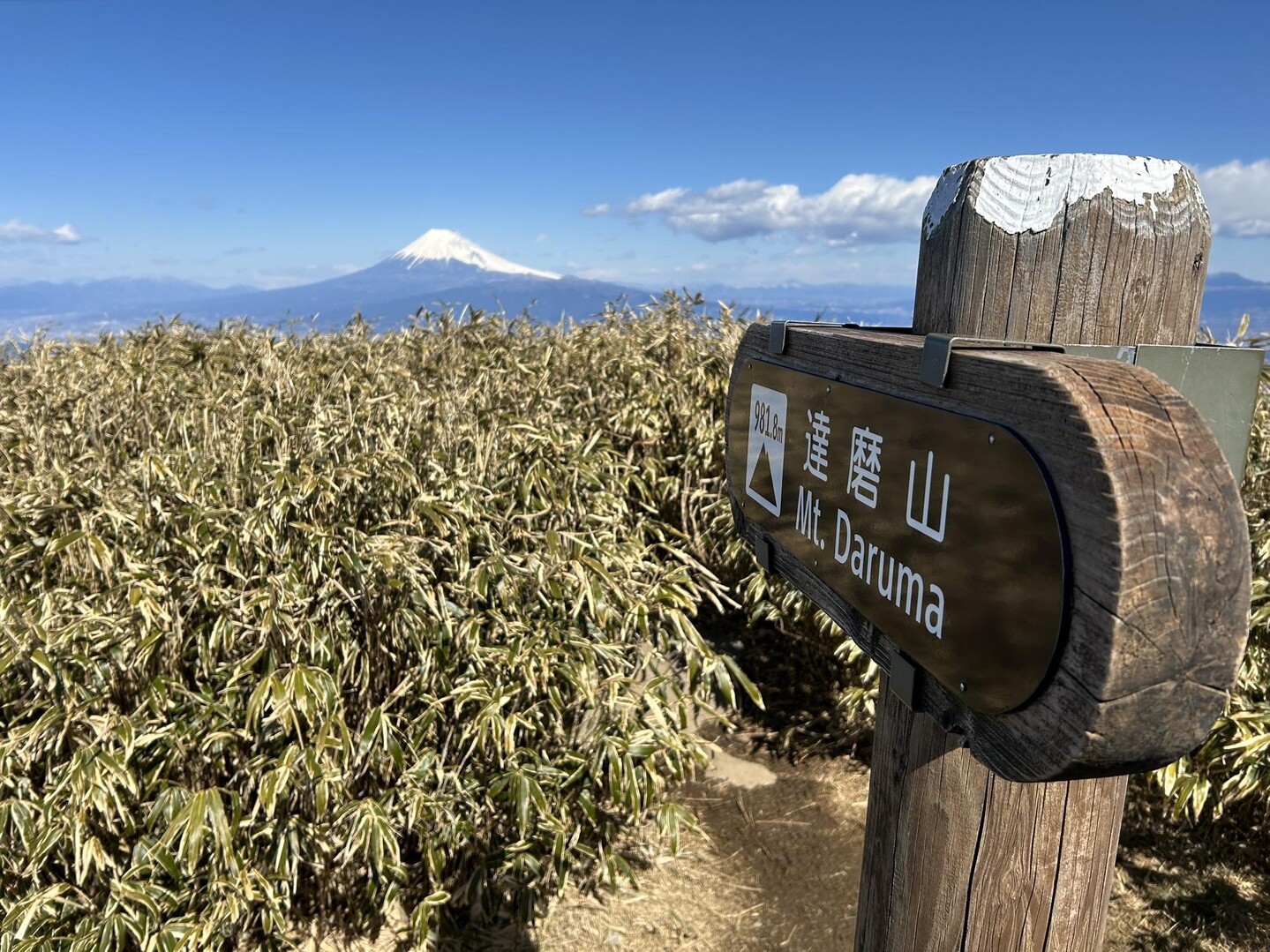 達磨山 / houjinoさんの金冠山・達磨山・葛城山の活動データ | YAMAP / ヤマップ