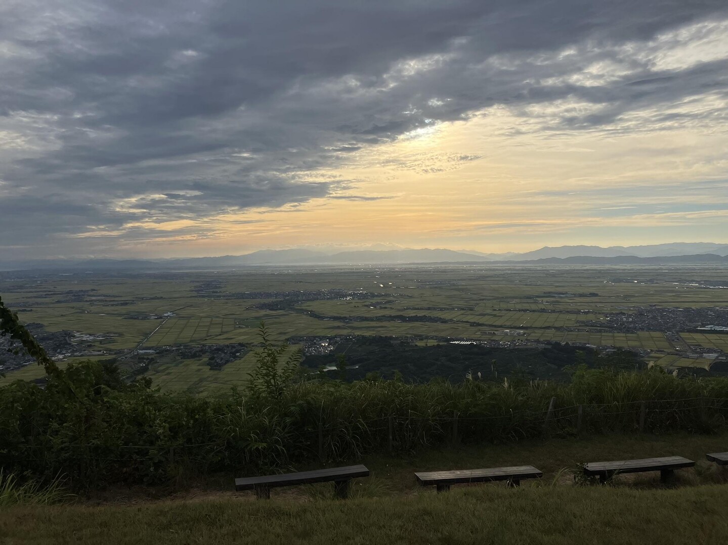 角田山稲島コース-2023-09-02 / ERさんのウォーキングの活動データ | YAMAP / ヤマップ