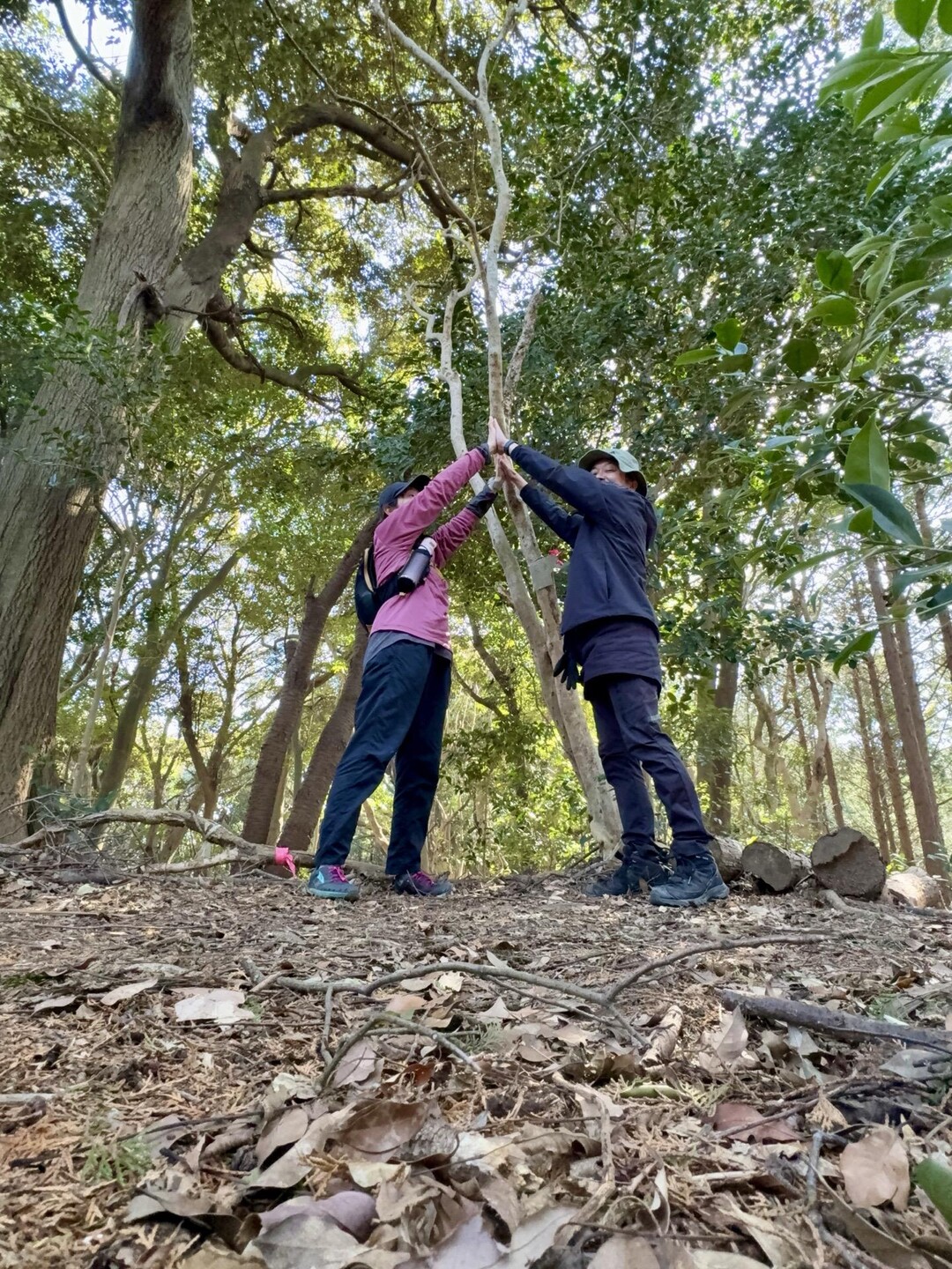 長垂山 / Re:けんさんの長垂山の活動データ | YAMAP / ヤマップ