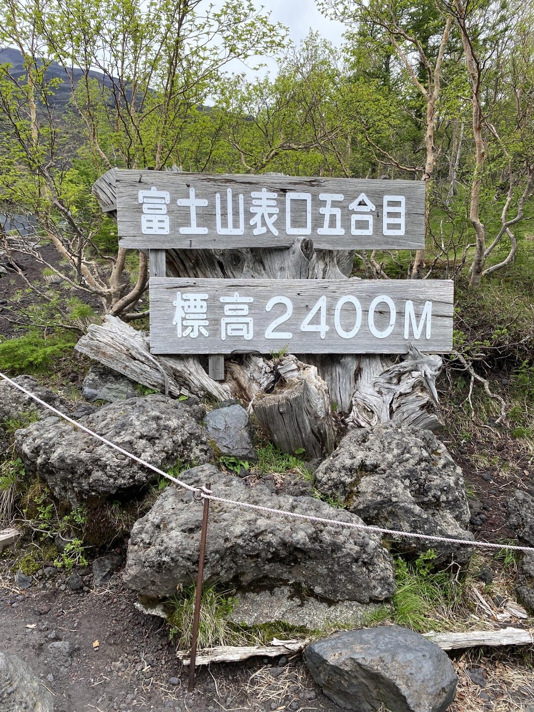 初富士山！ / elieeさんの富士山の活動データ | YAMAP / ヤマップ