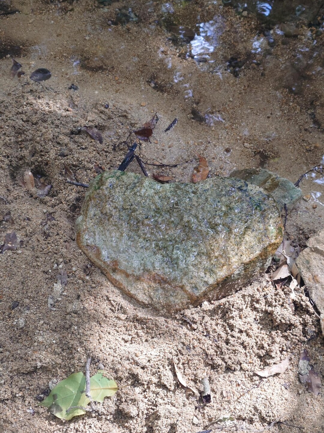 momoさんの投稿したフィールドメモ | YAMAP / ヤマップ