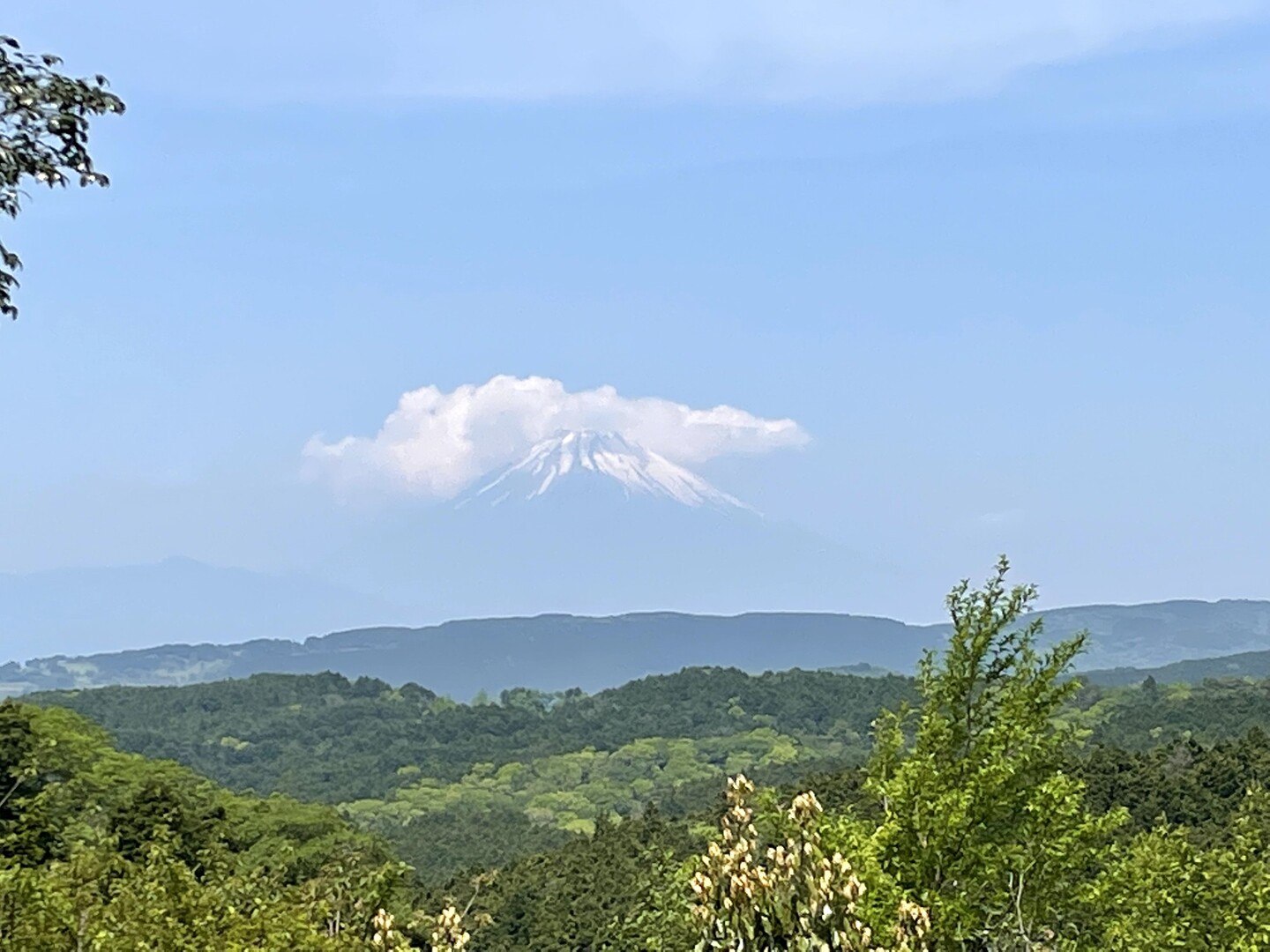 GWでも貸し切り！大丸山・巣雲山 / ellena15さんの巣雲山の活動データ | YAMAP / ヤマップ