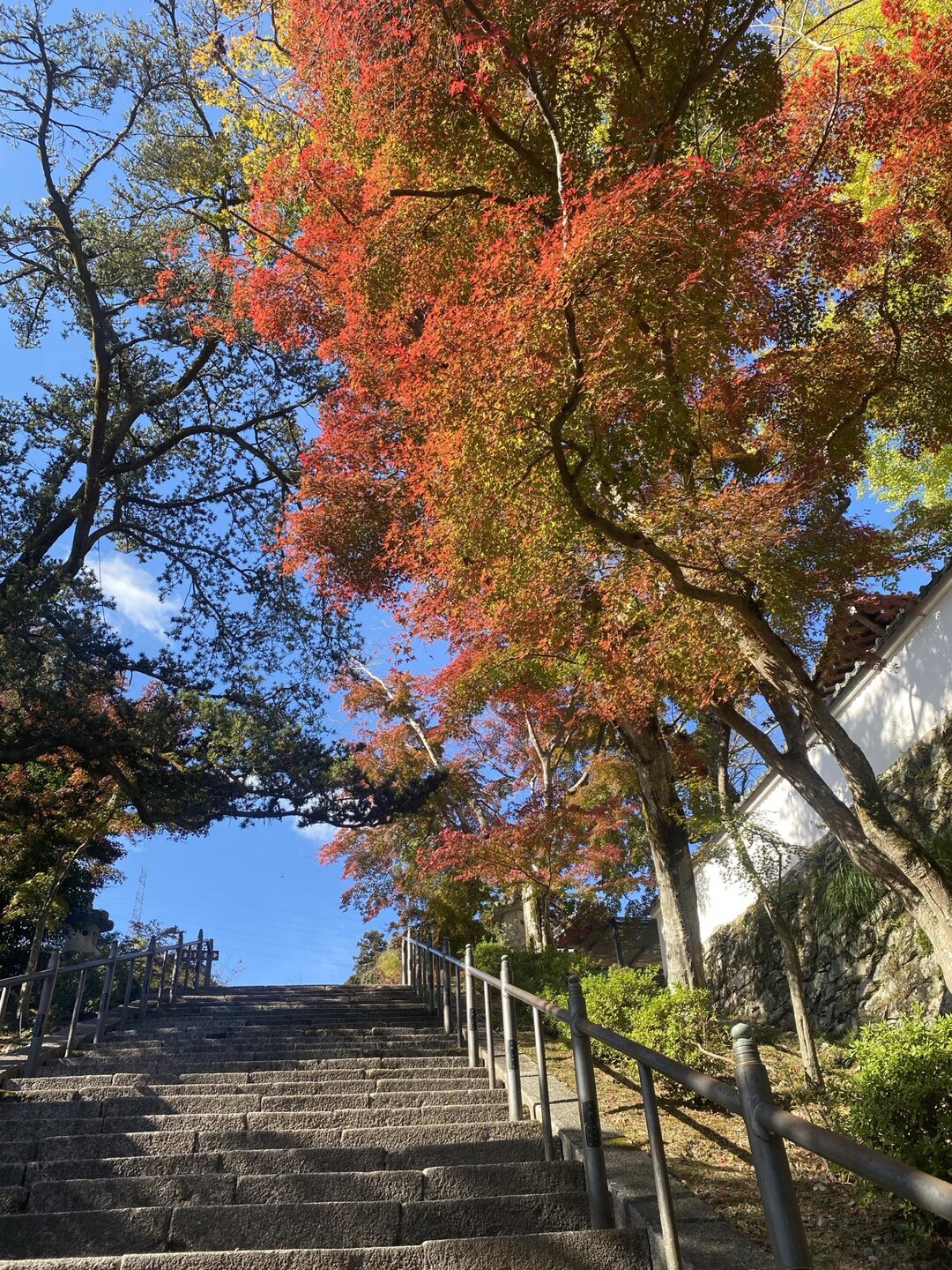 比叡山の麓 滋賀県・西教寺 2024.1... / HIRO_mさんのモーメント | YAMAP / ヤマップ