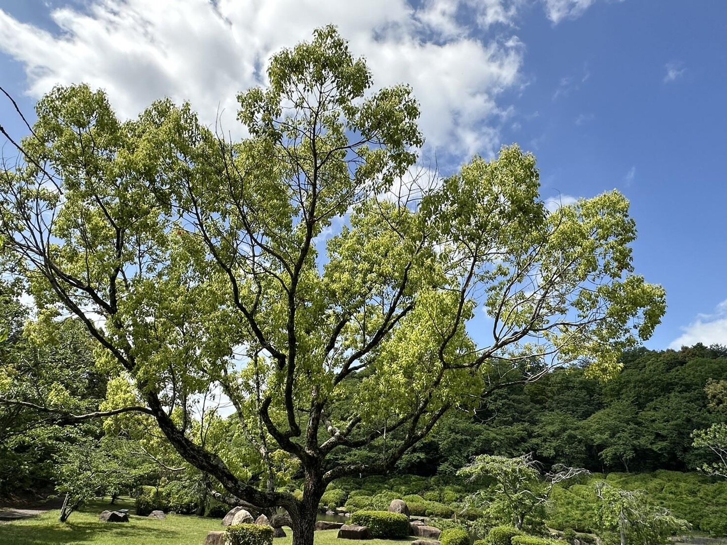 おさんぽ( 'o' *) ₃ ₃ / Mikuさんのモーメント | YAMAP / ヤマップ