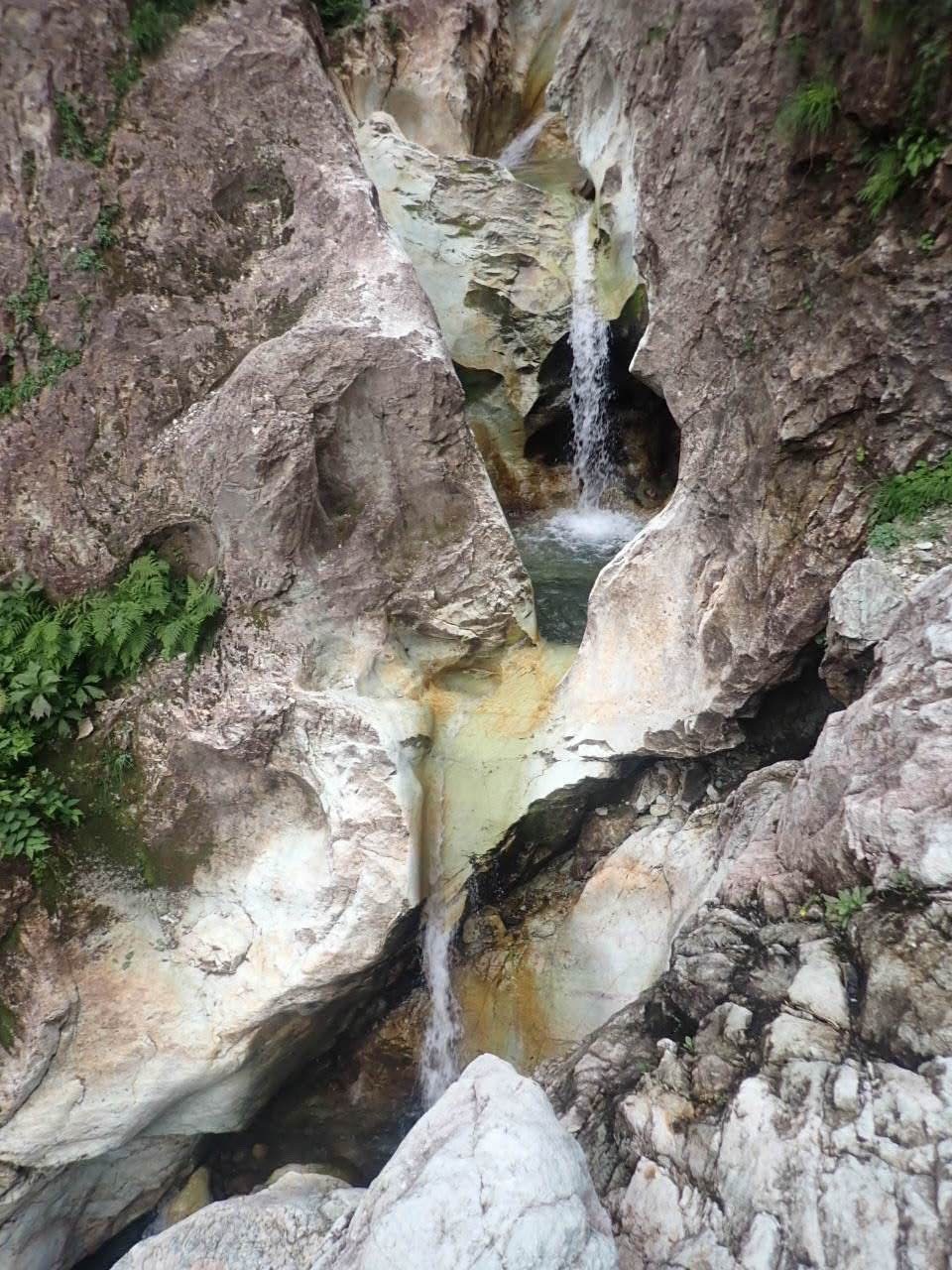 白山 大畠谷〜開津谷 沢登り 2day / MONさんの大笠山の活動データ | YAMAP / ヤマップ