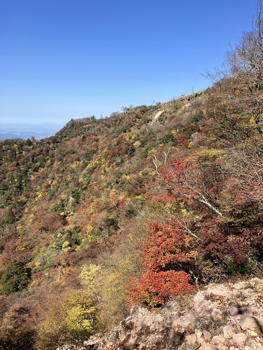 英彦山（南岳） / nanaさんの英彦山の活動データ | YAMAP / ヤマップ