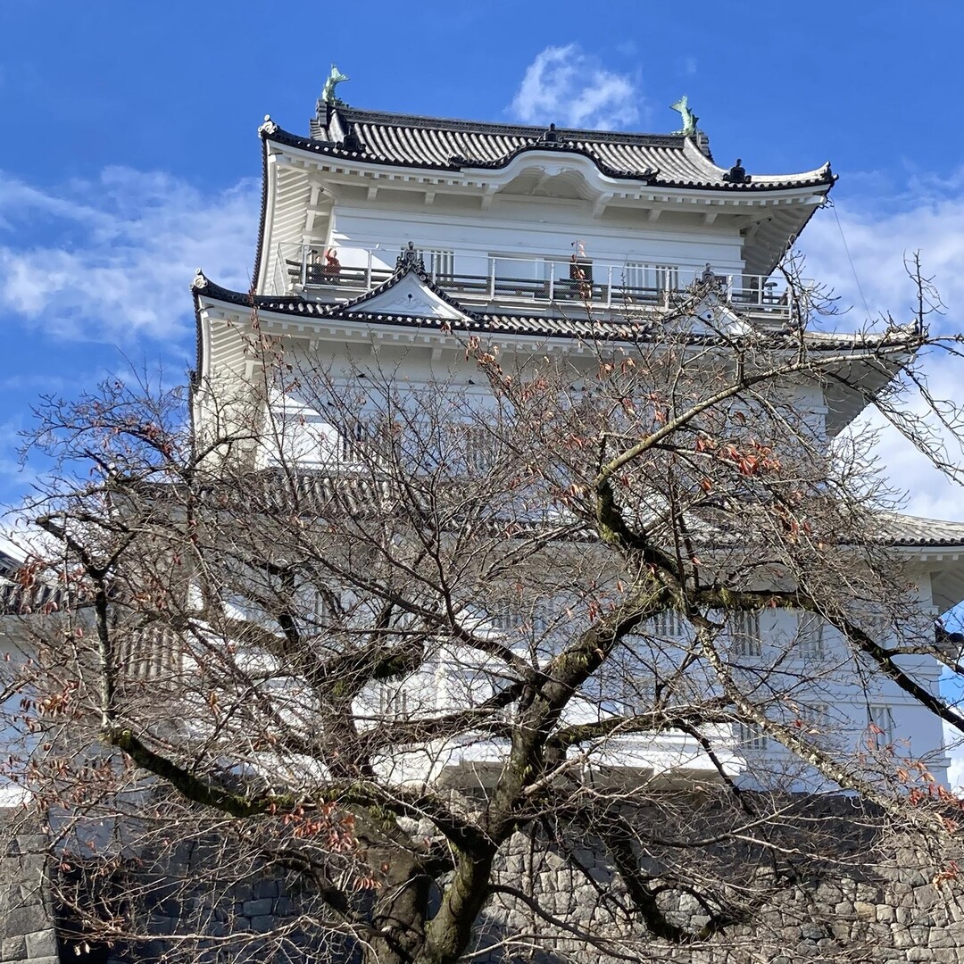 久しぶりの小田原城です 天気も良く伊豆大... / あにさんのモーメント | YAMAP / ヤマップ