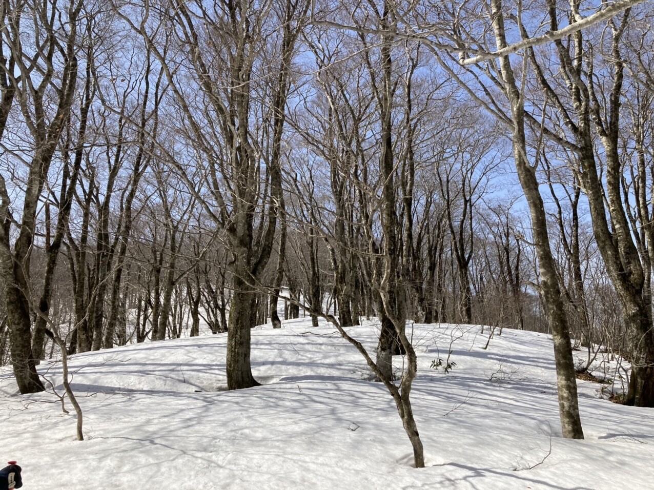 駒頭山 / chanmikiさんの駒頭山の活動データ | YAMAP / ヤマップ
