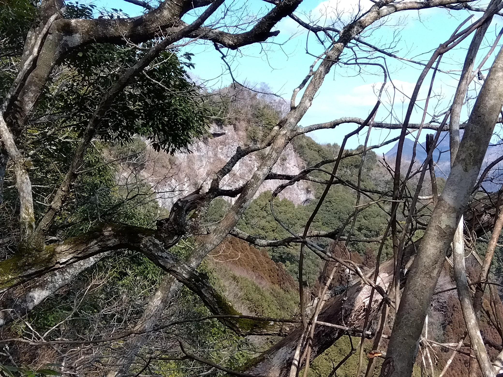 上ノ畑山・八久保山 / senbu2(センブツ)さんの鹿熊岳の活動データ | YAMAP / ヤマップ