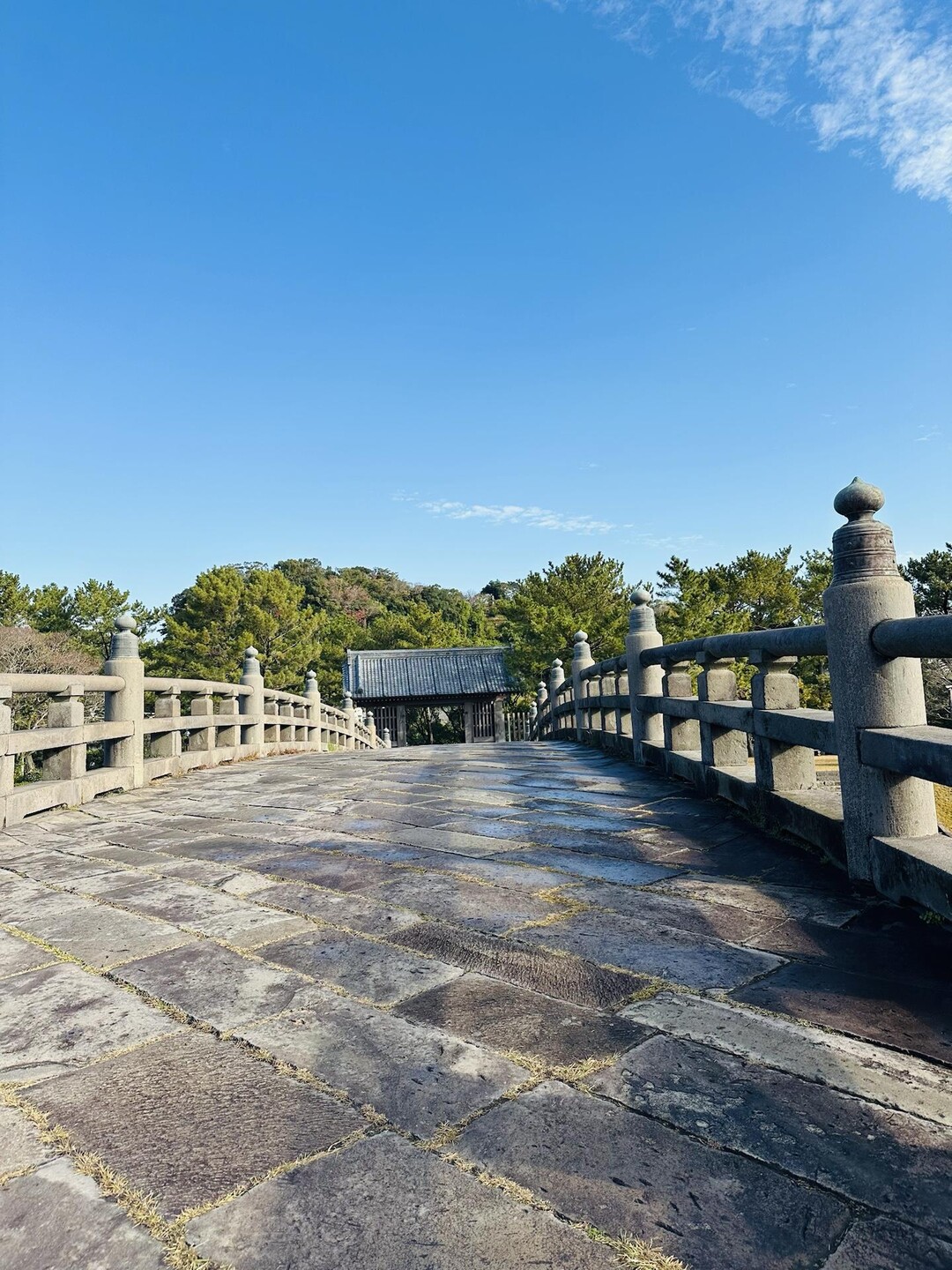 2024年登り納めは以前から気になっていた多賀山です⛰️ / cocoさんの桜島の活動データ | YAMAP / ヤマップ